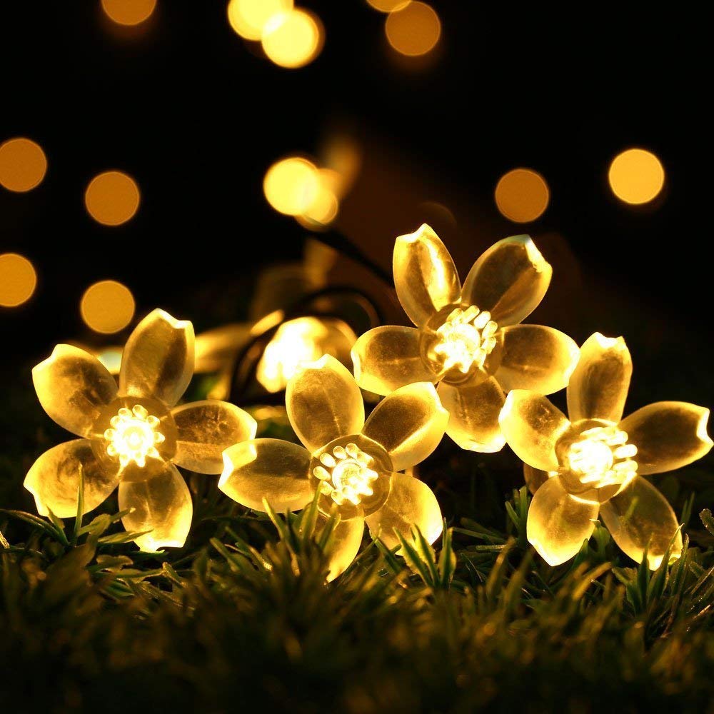 Top 8 Best Decorative Lights | Indoor and Outdoor Options with Reviews